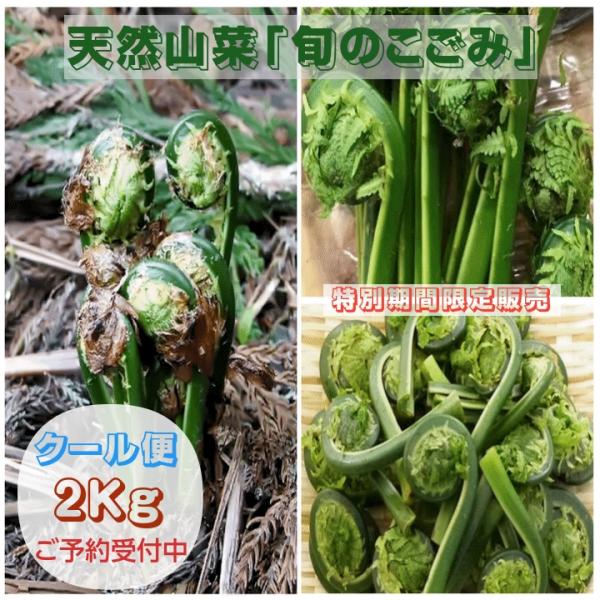 【発売日：2026年04月26日】☆☆期間限定販売中！☆5月6日（水）までとなっております。■内容量 約2Kg/箱＊中身については、天然のため、その時期に取れる大・小混合サイズとなります。＊天然物ですので、天候、時期、自然環境等で収穫は変わ...