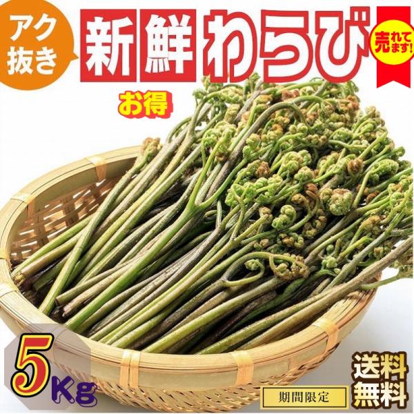 【発売日：2026年05月10日】あく抜きが済んでおりますので、すぐに冷蔵庫に入れて保存し、早めにお召し上がりてください。固い部分を取っているので、長さが一定しないわらびもあります。真空をかけて発送いたします。 6/6からは、塩漬けを戻した...