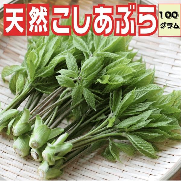 【発売日：2026年04月26日】予約受付期間：〜５月11日まで！■内容量 約１００g＊中身については、天然のため、その時期に取れる大・小混合サイズとなります。＊天然物ですので、天候、時期、自然環境等で収穫は変わりますのでご了承ください。　...