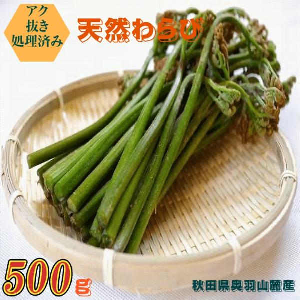 【発売日：2026年05月24日】あく抜きが済んでおりますので、すぐに冷蔵庫に入れて保存し、早めにお召し上がりてください。固い部分を取っているので、長さが一定しないわらびもあります。真空をかけて発送いたします。 ■名称　あく抜き■内容量 約...