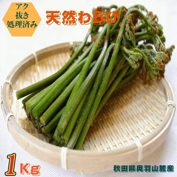 【発売日：2026年05月24日】あく抜きが済んでおりますので、すぐに冷蔵庫に入れて保存し、早めにお召し上がりてください。固い部分を取っているので、長さが一定しないわらびもあります。真空をかけて発送いたします。 ■名称　あく抜き■内容量 約...