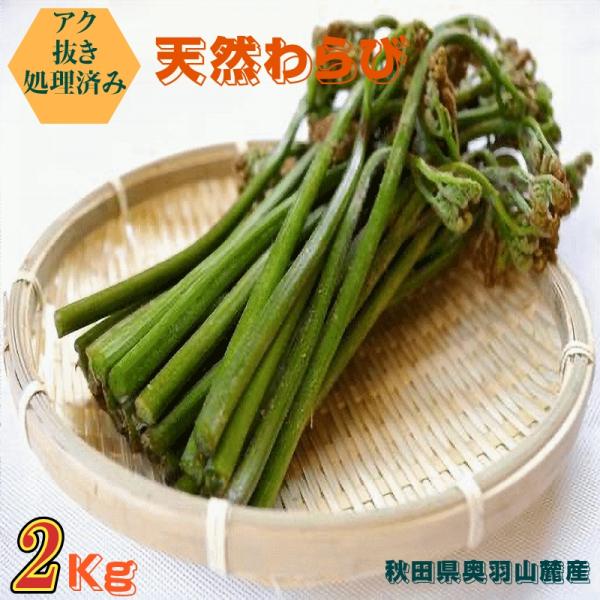 【発売日：2026年05月17日】あく抜きが済んでおりますので、すぐに冷蔵庫に入れて保存し、早めにお召し上がりてください。固い部分を取っているので、長さが一定しないわらびもあります。真空をかけて発送いたします。 ■名称　あく抜き■内容量 約...