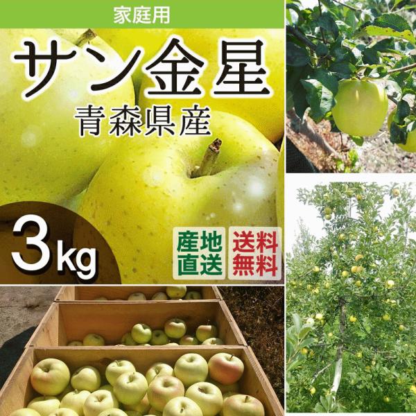 【発売日：2024年11月01日】果汁が豊富で、しっとりとした柔らかめの食感です。丸かじりで、その独特な香りと甘みを存分に楽しむのがおすすめです。■予約販売期間：１１月１日〜１月１５日まで！ ■商品名 りんご「サン金星」ご家庭用　■内容量 ...