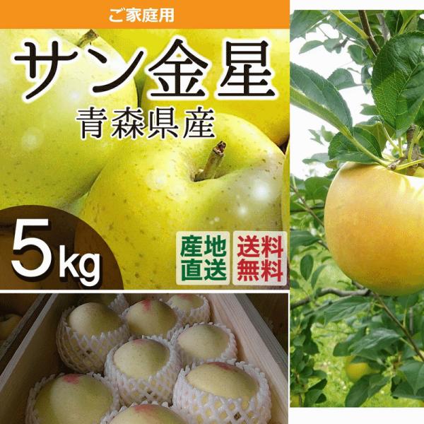 【発売日：2024年11月01日】果汁が豊富で、しっとりとした柔らかめの食感です。丸かじりで、その独特な香りと甘みを存分に楽しむのがおすすめです。■予約販売期間：１１月１日〜１月１５日まで！ ■商品名 りんご「サン金星」ご家庭用　■内容量 ...