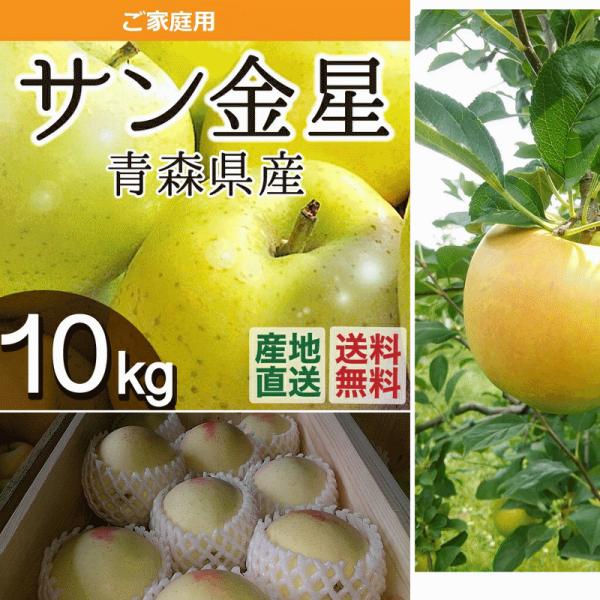 【発売日：2024年11月01日】果汁が豊富で、しっとりとした柔らかめの食感です。丸かじりで、その独特な香りと甘みを存分に楽しむのがおすすめです。■予約販売期間：１１月１日〜１月１５日まで！ ■商品名 りんご「サン金星」ご家庭用　■内容量 ...
