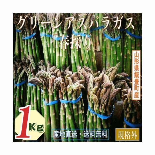 【発売日：2026年05月14日】正規品として出荷できないものですが、味は正規品と変わらず風味豊かで美味しく味わえます。シャキシャキした食感をお楽しみください。※茎が曲がっているもの、紫がかっているものや傷がついているものもある場合がありま...
