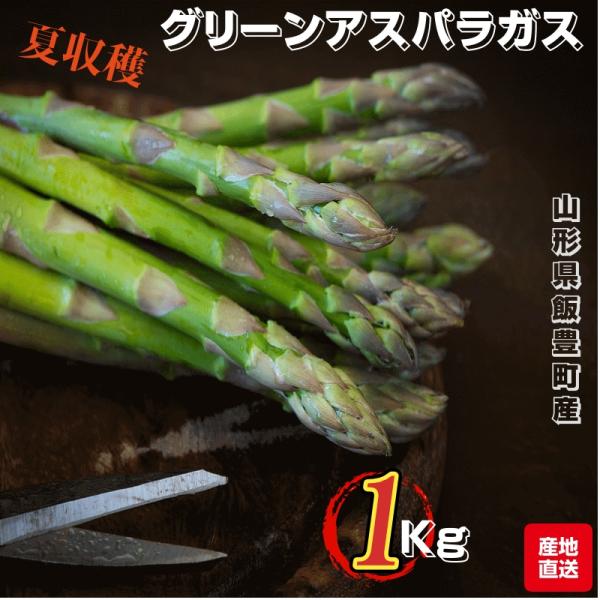 【発売日：2026年07月05日】正規品として出荷できないものですが、味は正規品と変わらず風味豊かで美味しく味わえます。シャキシャキした食感をお楽しみください。※茎が曲がっているもの、紫がかっているものや傷がついているものもある場合がありま...