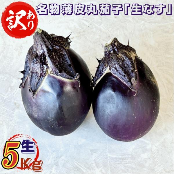 ☆☆化学薬品を使わない栽培、山形置賜名物薄皮丸茄子の生食☆☆■商品名 　名物薄皮丸茄子 訳あり■名称　生食■内容量 5Kg/袋■産地 山形県 飯豊町産■賞味期限：　お早めにお召し上がり下さい。■保存方法 　到着後、すぐに冷蔵庫の野菜室等に保...