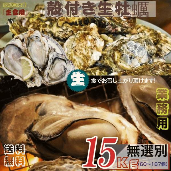 ■商品名:殻付き生牡蠣（無選別:80g〜250g）■内容量: 15kg /箱（約60個〜187個）■生産地：宮城県牡鹿半島■保存方法：要冷蔵■用途：生食用■消費期限：生食の場合は発送日から4日間、加熱の場合は発送日から5日間、冷凍された場合...