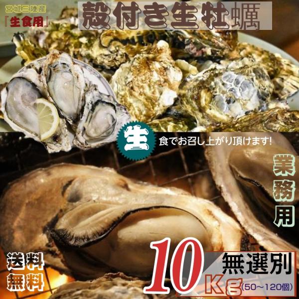■商品名:殻付き生牡蠣（無選別）■内容量: 10kg /箱（約40個〜125個）■生産地：宮城県牡鹿半島■保存方法：要冷蔵■用途：生食用■消費期限：生食の場合は発送日から4日間、加熱の場合は発送日から5日間、冷凍された場合は3ヶ月、解凍後2...