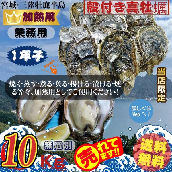 ■商品名:殻付き生牡蠣（１年子）■内容量: 10kg /箱（50個〜125個）■生産地：宮城県牡鹿半島■保存方法：要冷蔵■用途：加熱用※無選別（８０g〜２００g）■業務用■送料　無料（クール代別途）※沖縄県・九州地域・北海道・離島等につては...