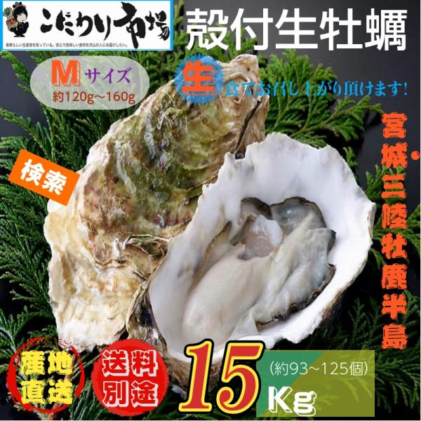 ■商品名:殻付き生牡蠣（Mサイズ）※120g〜160g/個■内容量: 15kg /箱（約93個〜125個）■生産地：宮城県牡鹿半島■保存方法：要冷蔵■用途：生食用■消費期限：生食の場合は発送日から4日間、加熱の場合は発送日から5日間、冷凍さ...