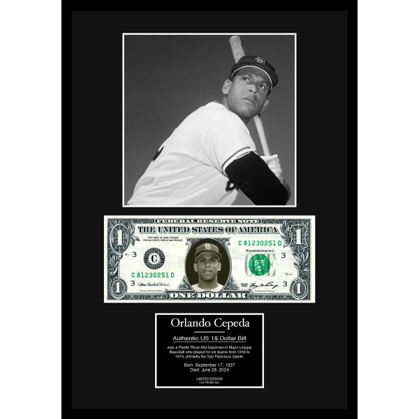 #ホームラン #本塁打 #投手#外野手 #指名打者 #プロ野球選手 #MLB #オールスターゲーム#ワールド・ベースボール・クラシック #アメリカ合衆国 #野球#アスリート #スポーツ選手 #ベースボール#侍ジャパン #MVP #メジャーリ...