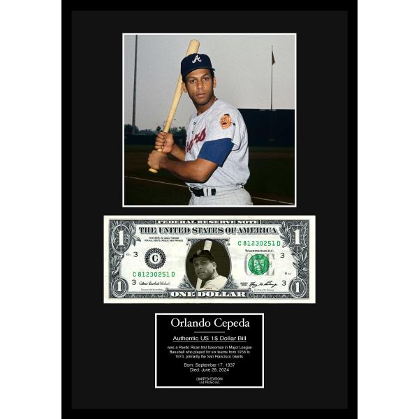 #ホームラン #本塁打 #投手#外野手 #指名打者 #プロ野球選手 #MLB #オールスターゲーム#ワールド・ベースボール・クラシック #アメリカ合衆国 #野球#アスリート #スポーツ選手 #ベースボール#侍ジャパン #MVP #メジャーリ...