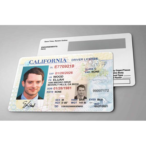 #ElijahWood  #Elijah_Wood#イライジャ・ウッド#イライジャウッド#ディープ・インパクト#ロード・オブ・ザ・リング  #Deep_Impact#John_McClane  #プロデューサー　#The_Lord_of_t...