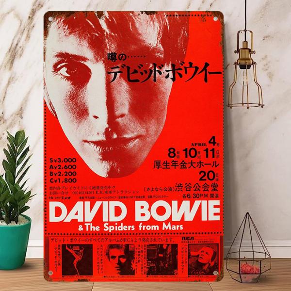 #デヴィッド・ボウイ#David_Bowie#DavidBowie#俳優#イングランド#イギリス　#ロンドン#ツアー　#ギタリスト#シンガーソングライター #ブルース#UK #イギリス #イングランド#アメリカ #ロックバンド #バンド#セ...