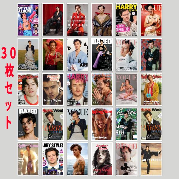 #HarryStyles#ハリースタイルズ#OneDirection #ワン・ダイレクション#1D#洋楽#ポップス#VOGUE#DAZED#RollingStone#ファッション#ハイブランド#ジェンダーレス#30枚セット#雑誌表紙#ストリ...