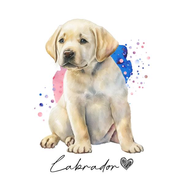 #Labrador_Retriever #LabradorRetriever #ラブラドール・レトリーバー#はがき#postcard#アート#アートカード#ポストカード#ポスター#Poster#海外#インテリア#絵#水彩#イラスト#犬#ドッ...