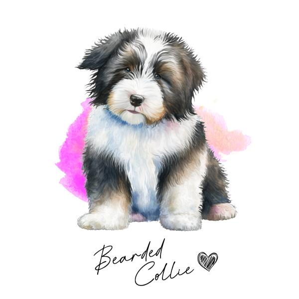 #Bearded_Collie #BeardedCollie#ビアデッド・コリー#はがき#postcard#アート#アートカード#ポストカード#ポスター#Poster#海外#インテリア#絵#水彩#イラスト#犬#ドッグ#愛犬#ペット#水彩画#...