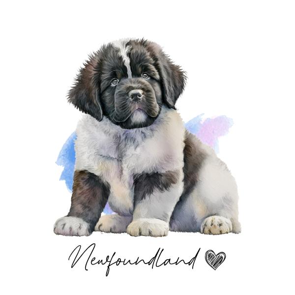 #Newfoundland#ニューファンドランド#はがき#postcard#アート#アートカード#ポストカード#ポスター#Poster#海外#インテリア#絵#水彩#イラスト#犬#ドッグ#愛犬#ペット#水彩画#パステルカラー#くすみカラー#絵...