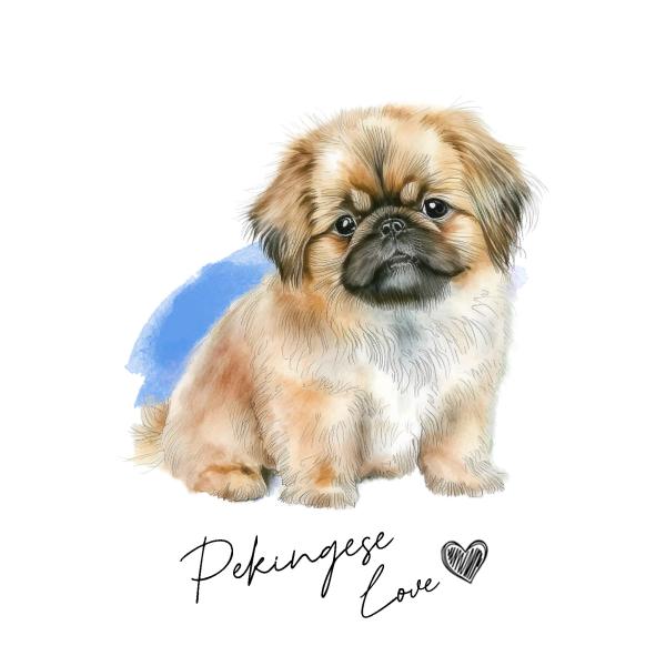 #Pekingese#ペキニーズ#はがき#postcard#アート#アートカード#ポストカード#ポスター#Poster#海外#インテリア#絵#水彩#イラスト#犬#ドッグ#愛犬#ペット#水彩画#パステルカラー#くすみカラー#絵#眼鏡#メガネ#めがね