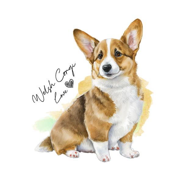 #Pembroke_Welsh_Corgi#PembrokeWelshCorgi#ウェルシュ・コーギー・ペンブローク#ウェルシュ・コーギー#はがき#postcard#アート#アートカード#ポストカード#ポスター#Poster#海外#インテリ...