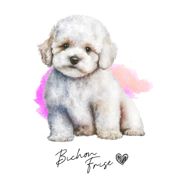 #Bichon_Frise#BichonFrise#ビション・フリーゼ#はがき#postcard#アート#アートカード#ポストカード#ポスター#Poster#海外#インテリア#絵#水彩#イラスト#犬#ドッグ#愛犬#ペット#水彩画#パステルカ...