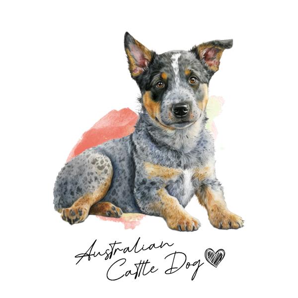 #Australian_Cattle_Dog#AustralianCattleDog#オーストラリアン・キャトル・ドッグ#キャトル・ドッグ#はがき#postcard#アート#アートカード#ポストカード#ポスター#Poster#海外#インテリ...