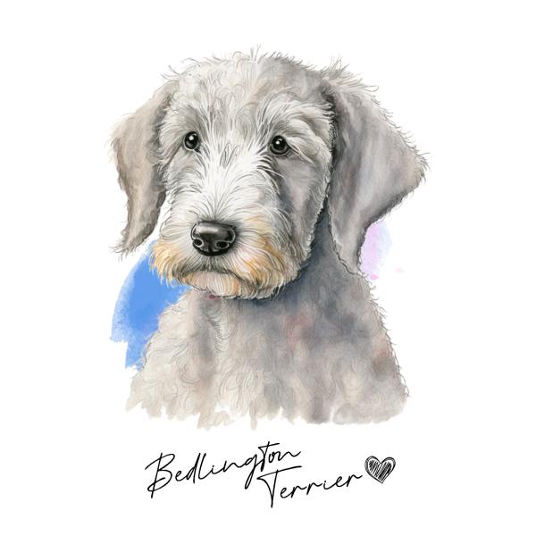#Bedlington_Terrier#BedlingtonTerrier#ベドリントン・テリア#はがき#postcard#アート#アートカード#ポストカード#ポスター#Poster#海外#インテリア#絵#水彩#イラスト#犬#ドッグ#愛犬#...