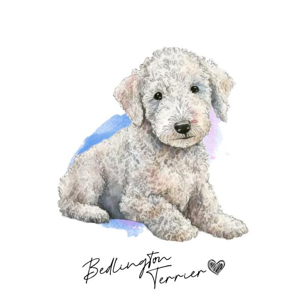 #Bedlington_Terrier#BedlingtonTerrier#ベドリントン・テリア#はがき#postcard#アート#アートカード#ポストカード#ポスター#Poster#海外#インテリア#絵#水彩#イラスト#犬#ドッグ#愛犬#...