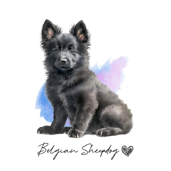 #Belgian_Sheepdog  #BelgianSheepdog#ベルジアン・シェパード・ドッグ#はがき#postcard#アート#アートカード#ポストカード#ポスター#Poster#海外#インテリア#絵#水彩#イラスト#犬#ドッグ#...