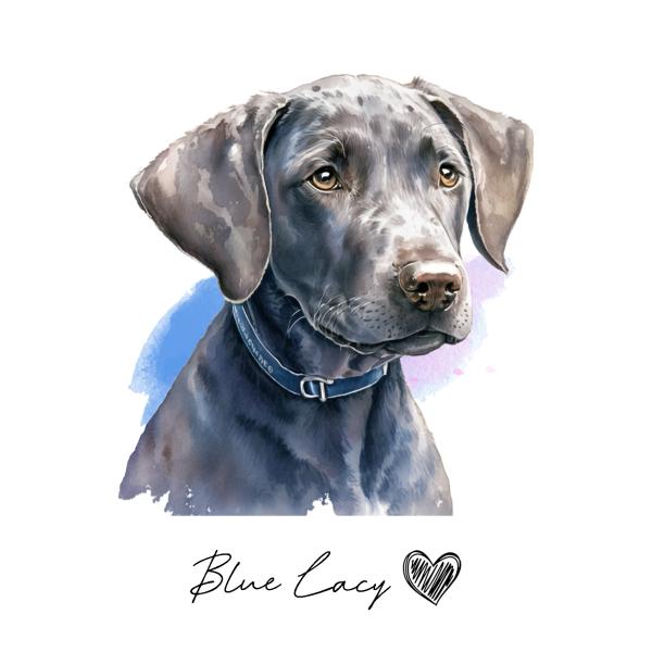 #Blue_Lacy#BlueLacy#ブルー・レーシー#はがき#postcard#アート#アートカード#ポストカード#ポスター#Poster#海外#インテリア#絵#水彩#イラスト#犬#ドッグ#愛犬#ペット#水彩画#パステルカラー#くすみカ...