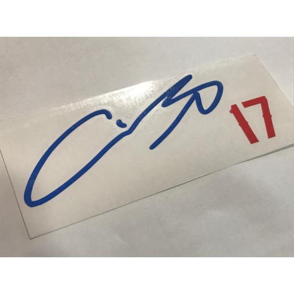 #デカールステッカー　#カッティングステッカー#ドライブレコーダー　#ドラレコ　#車用　#運転　#安全#大谷翔平  #大谷_翔平  #おおたにしょうへい  #17  #二刀流  #日本代表  #エース   #ホームラン#Shohei_Oht...