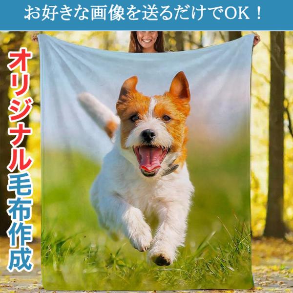 サイズ：100cm*75cm 100cm*130cm 100cm*150cm 130cm*150cm  150cm*200cm重さ：300g-499g関連キーワード：大きいサイズ ペット 画像 プリント 犬 猫 写真 自作 作成 オリジナル...