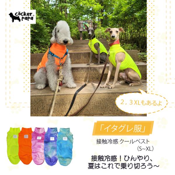 イタグレのクールベスト寒がりイタグレちゃん達もやはり夏は暑いですよね。。機能性生地を使用した冷却クールベストです。シンプルなデザインで夏らしいネオンカラーの熱中症対策ウェア。特に梅雨時期でもワンちゃんの皮膚を最適に維持するのが特徴です。服を...