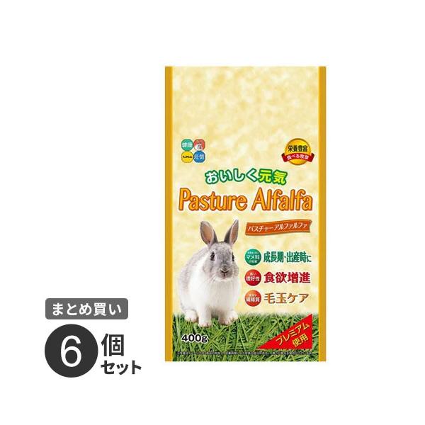 ※沖縄県への発送は別途送料が掛かります。※代引き支払いの場合は、別途代引き手数料が掛かります。▲商品の特性上、基本的にご返品を承ることが出来ません。何卒ご了承ください。（返品・キャンセル不可）■6個セット草食小動物の発育、健康維持の栄養補給...