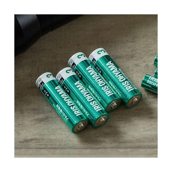 スタンダードタイプのアルカリ乾電池です。ガスケット表面に、減圧弁を採用することにより破裂を防ぎ、ワッシャー（絶縁リング）の使用でショート・液漏れを防ぎます。使用推奨期限は製造後10年になります。アイリスオーヤマ / あいりすおーやま / I...