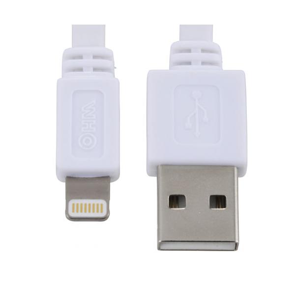 【特長】■ Appleの正規ライセンス「Made for iPod/iPhone/iPad」取得製品■ USBポートとライトニングコネクタ搭載機器を接続し、充電・データ転送できます。■ 絡まりにくいフラットケーブル採用【仕様】■ 対応機種：...