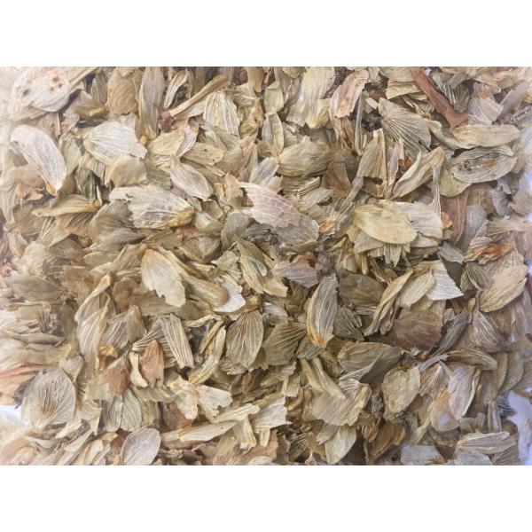 ドライハーブの特徴ビールの香り付けをするハーブとして有名です。独特の香りがあり、新鮮な実は、枕の中に入れて楽しみます。内容量500gおいしい飲み方ティースプーン1〜2杯(約2グラム)のドライハーブをポットに入れ、150cc〜200cc程度の...