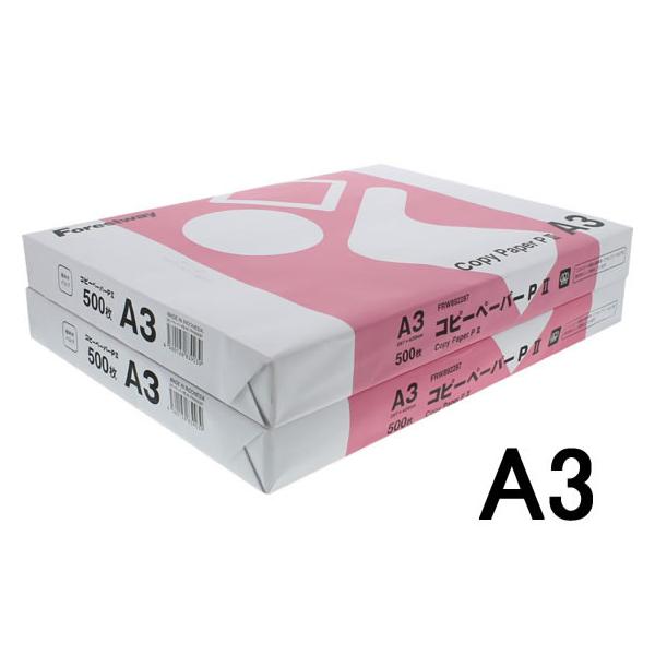 【仕様】●坪量：６４ｇ／ｍ2（四六判換算：５５ｋｇ）●紙厚：９１μｍ●白色度約９４％●注文単位（入数）：１パック（５００枚×２冊）●環境に配慮したＥＣＦ漂白用紙●植林木パルプを使用●多用途に使用できる汎用性と経済性が魅力のコピー用紙です。　...