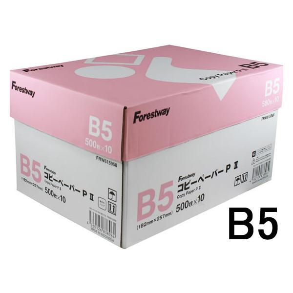 【仕様】●坪量：６４ｇ／ｍ2（四六判換算：５５ｋｇ）●紙厚：９１μｍ●白色度約９４％●注文単位（入数）：１箱（５００枚×１０冊）●環境に配慮したＥＣＦ漂白用紙●植林木パルプを使用●多用途に使用できる汎用性と経済性が魅力のコピー用紙です。　B...