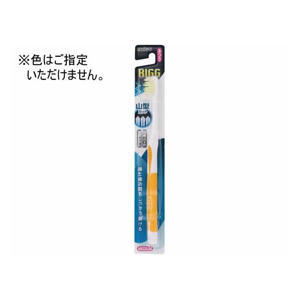 【商品説明】山形カットで歯と歯の間もしっかり磨けます。【仕様】●毛の硬さ：ふつう●内容量：１本※色はご指定いただけません。