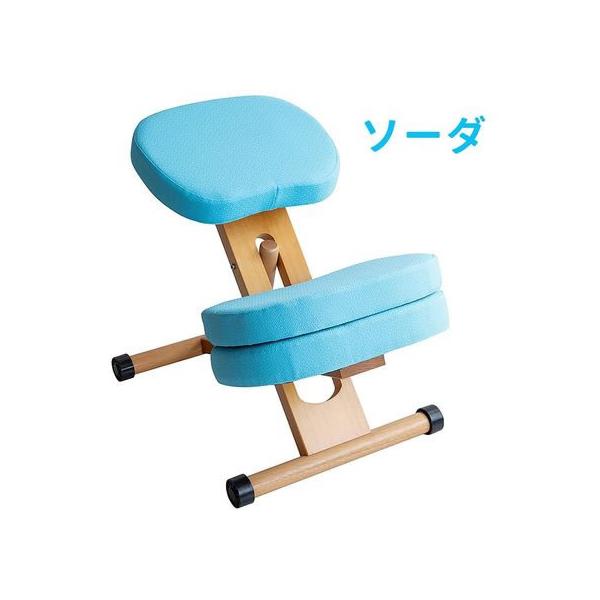 【商品説明】子どもが勉強していると思ったら、他のことに気を取られていたり、あまり進んでなかったり…「うちの子って集中力がないのかな？」と思うことありませんか？プロポーションチェア（Ｒ）なら座るだけで集中力が高まります。　※香川大学創造工学部...