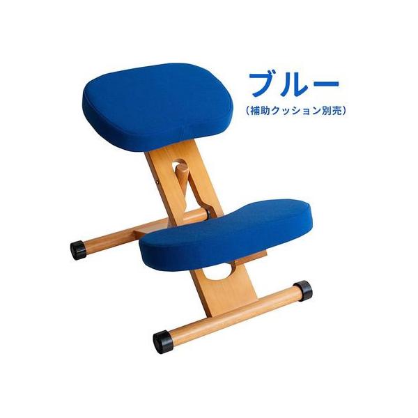 【商品説明】子どもが勉強していると思ったら、他のことに気を取られていたり、あまり進んでなかったり…「うちの子って集中力がないのかな？」と思うことありませんか？プロポーションチェア（Ｒ）なら座るだけで集中力が高まります。　※香川大学創造工学部...