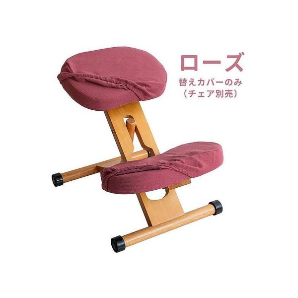 【商品説明】集中力が高まるプロポーションチェアの替えカバー。　座面カバーと膝カバーのセット手洗い洗濯可能でいつでも清潔です。　ゴムカバーでお子様でもラクラク着脱できます。【仕様】●カラー：ローズ　●入数：座面と肘の２枚セット　●商品サイズ：...
