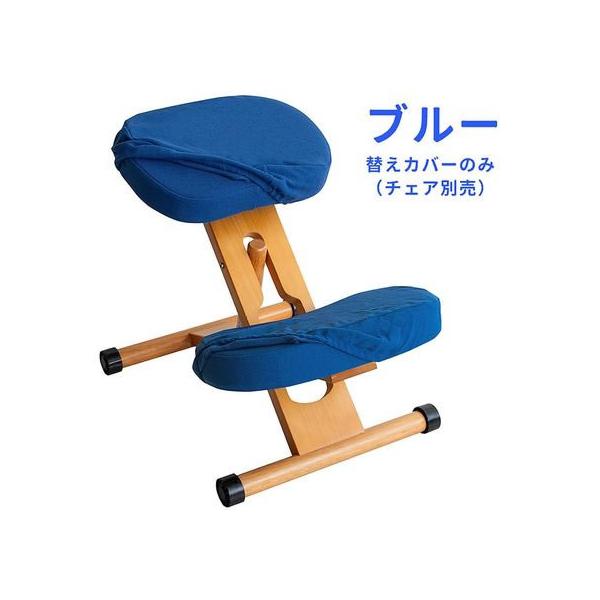 【商品説明】集中力が高まるプロポーションチェアの替えカバー。　座面カバーと膝カバーのセット手洗い洗濯可能でいつでも清潔です。　ゴムカバーでお子様でもラクラク着脱できます。【仕様】●カラー：ブルー　●入数：座面と肘の２枚セット　●商品サイズ：...