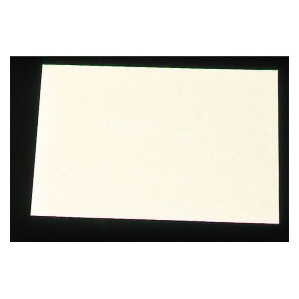 【商品説明】波動の良い遠赤抗菌和紙でおもてなしの心を伝えて下さい。　自然色クリームがお料理を引き立てます。優れた抗菌効果と遠赤外線放射。【仕様】●外寸：２６４×３９０ｍｍ●材質：遠赤抗菌和紙●抗菌：○●１００枚入り