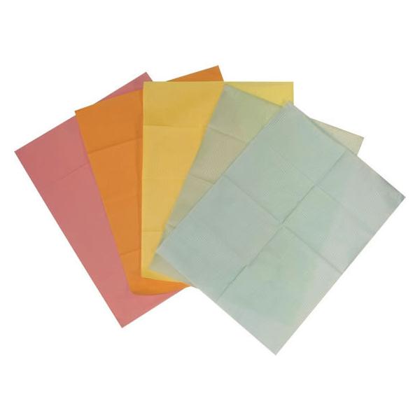 【仕様】３層構造の防水加工を施したエプロン／シートです。カラフルな５色が各１００枚（５０枚×２パック）入っています。歯科向けエプロン／小外科防水シート／透析時防水シート等として最適。●カラー：５色アソート（ブルー・グリーン・イエロー・オレン...