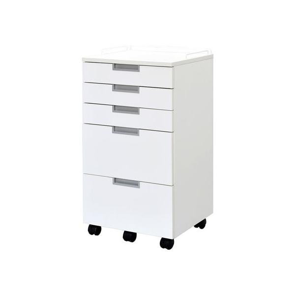 【商品説明】天板面にスチール製の落下防止バー付き。転倒防止のため上段３段は２／３程度が引き出し可能、中段（４段目）下段（５段目）はフルオープンです。キャスターは５つの内２つにストッパーが付いています。【仕様】●外寸法：幅４５２×奥行４２０×...