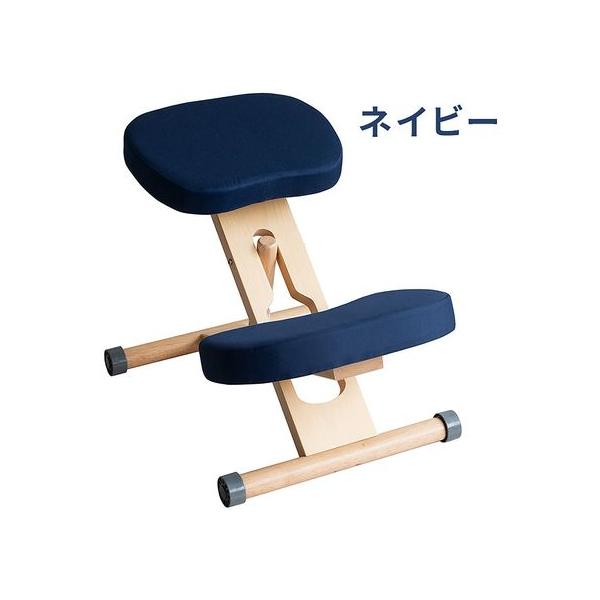 【商品説明】子どもが勉強していると思ったら、他のことに気を取られていたり、あまり進んでなかったり・・・「うちの子って集中力がないのかな？」と思うことありませんか？プロポーションチェア（Ｒ）なら座るだけで集中力が高まります。　※香川大学創造工...